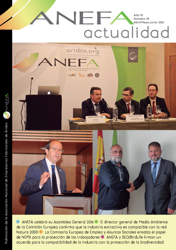 anefaactualidad45 - ANEFA